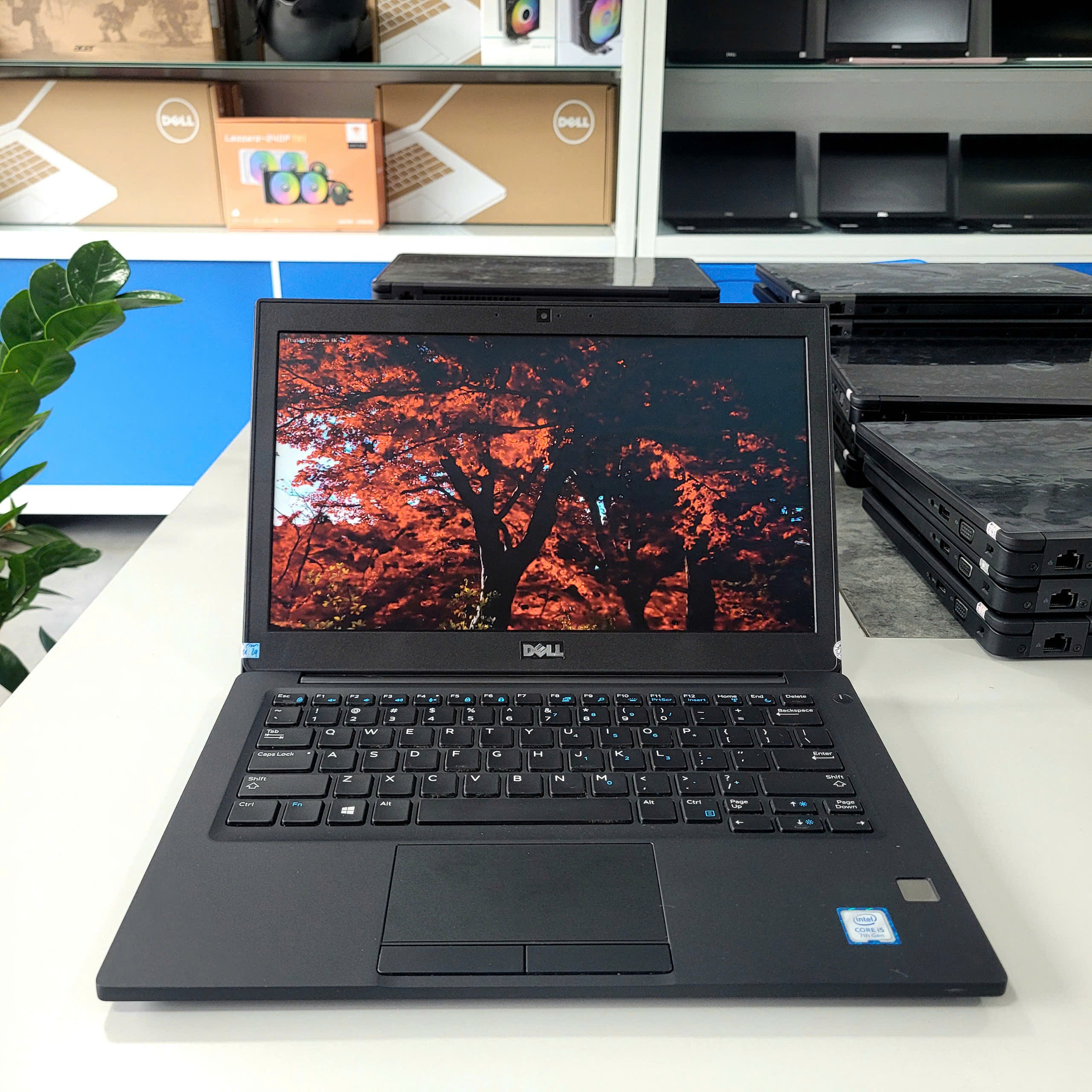 DELL LATITUDE 7280 – I5 GEN 6U, RAM 8G, SSD 256G, 12.5 INCH – Laptop ...